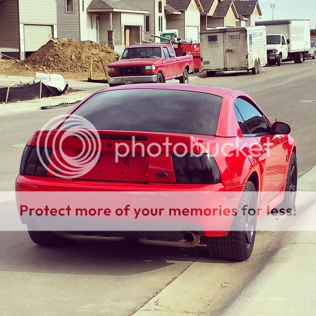 My Cobra build | Mustang and Ford Performance Forums